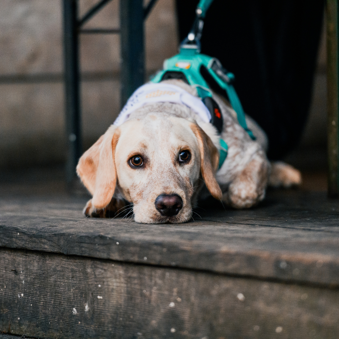 News | Silicon Mingle